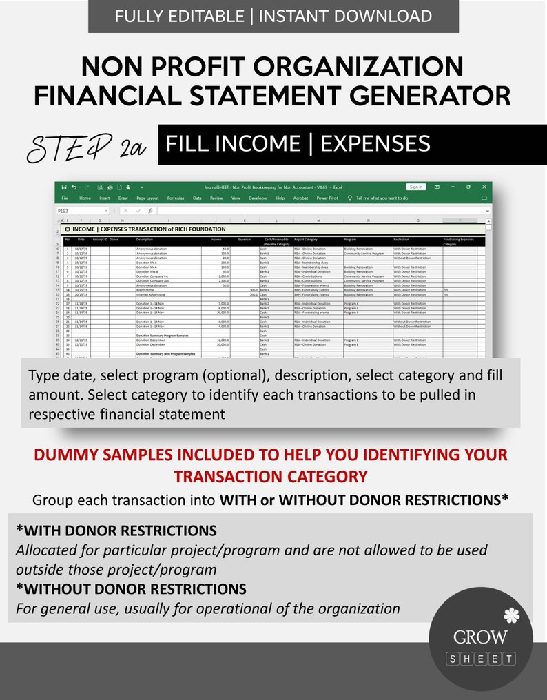 Non Profit Organization Financial Statement Generator | Charitable ...