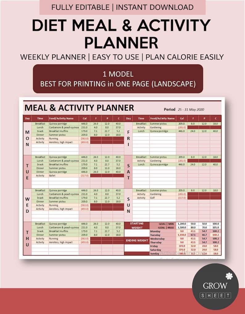 Diet Meal and Activity Planner for Excel and Google Sheets | Fully ...