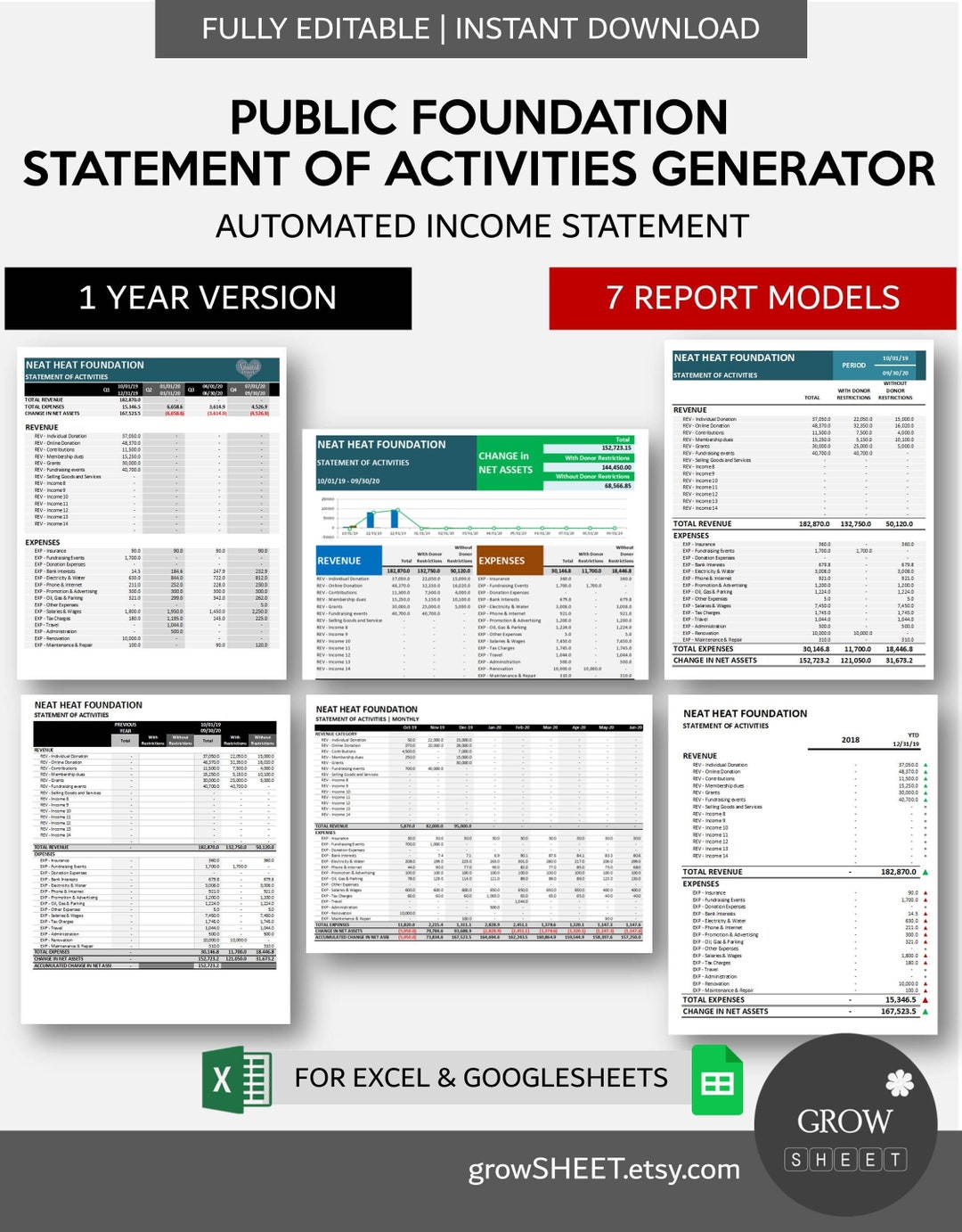 Public Foundation Income Statement Generator | Statement of Activities ...