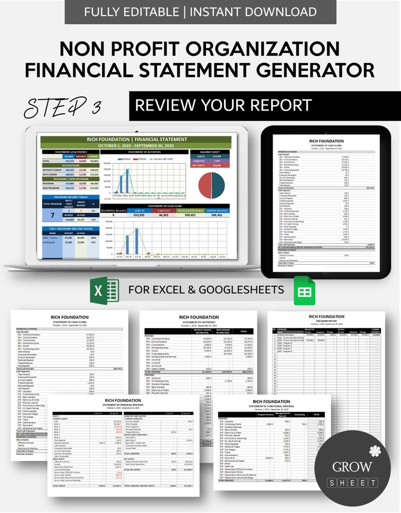 Non Profit Organization Financial Statement Generator | Charitable ...