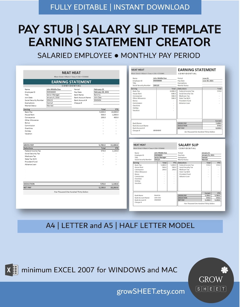 Earning Statement Generator | Salary Pay Slip Template for Salaried ...