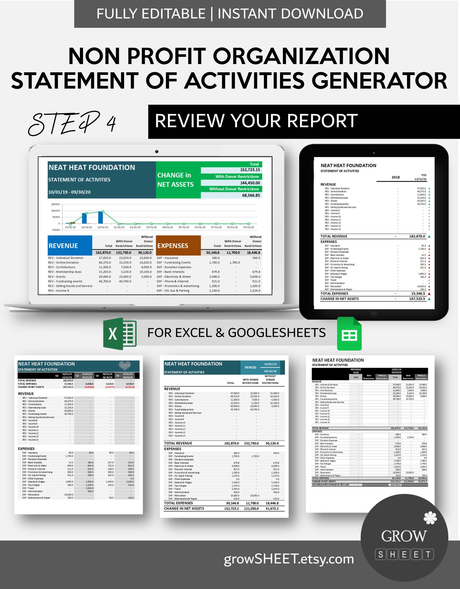 Non Profit Organization Income Statement Generator | NGO Statement of ...