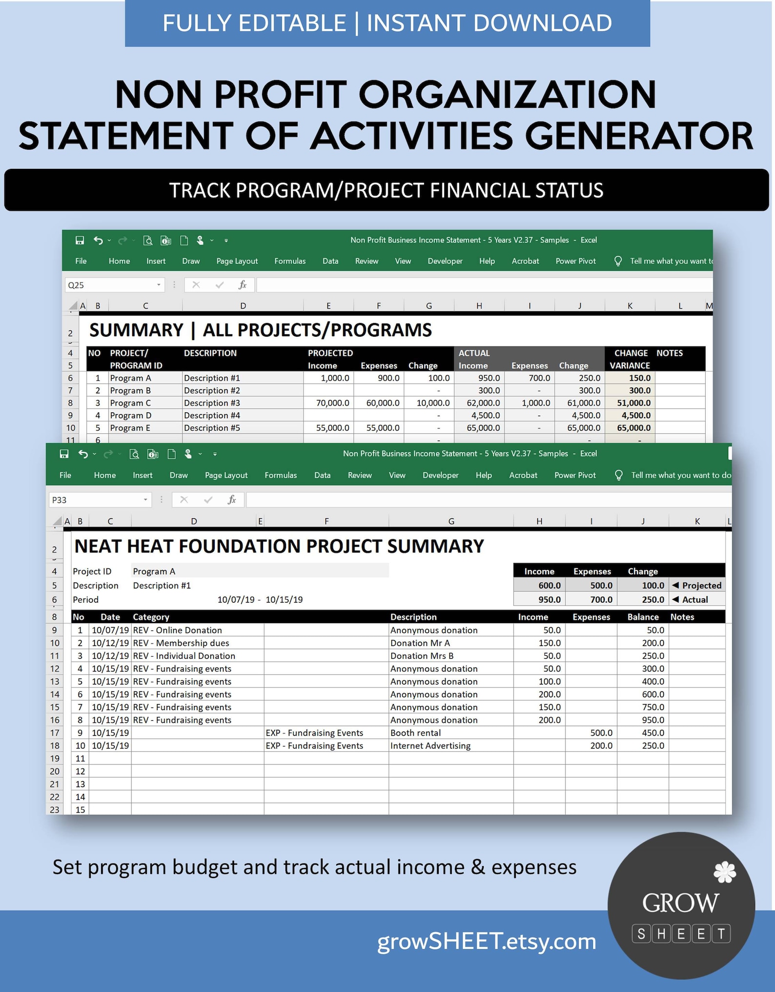 Non Profit Organization Income Statement Generator Charitable ...