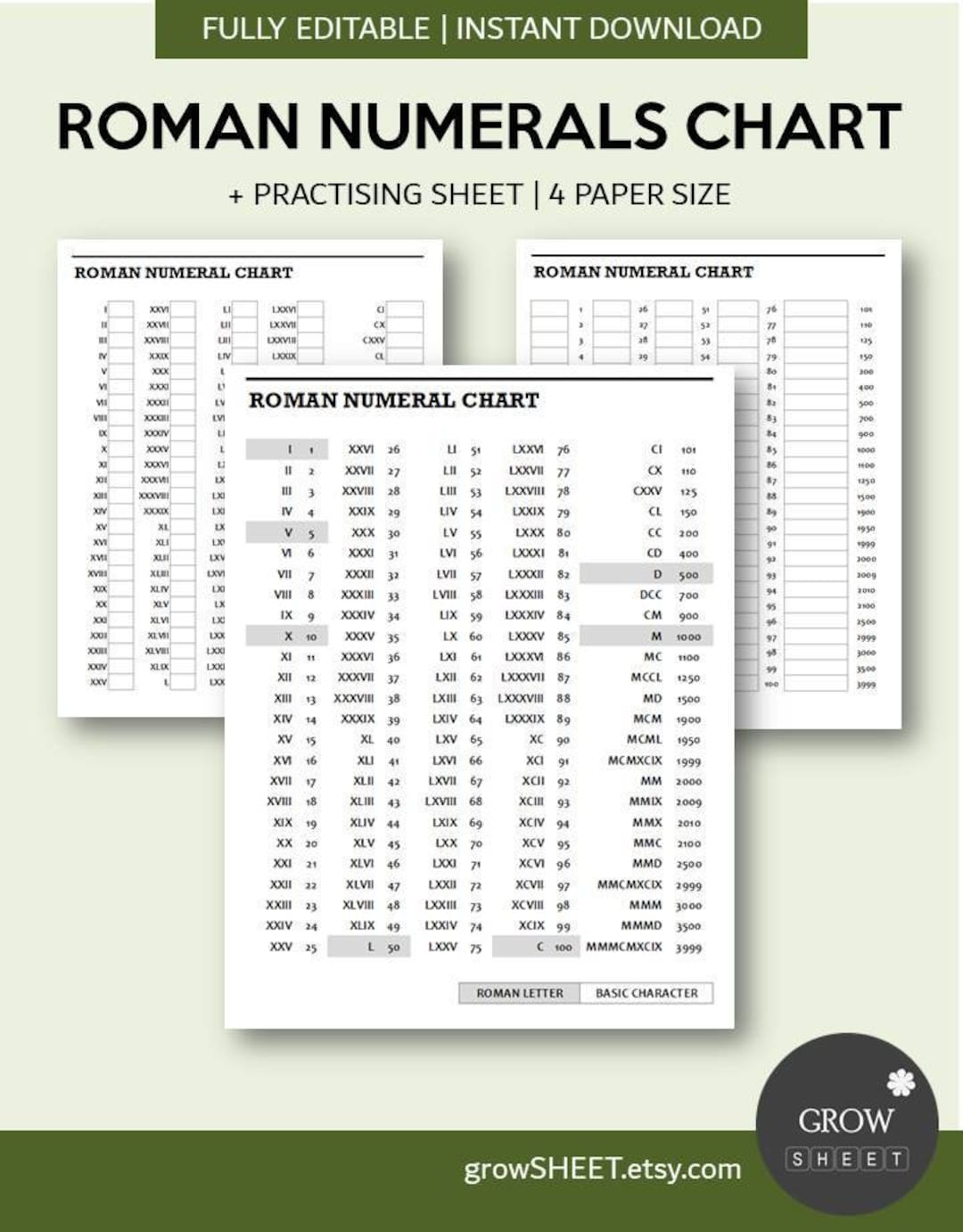 Roman Numerals Years 2010