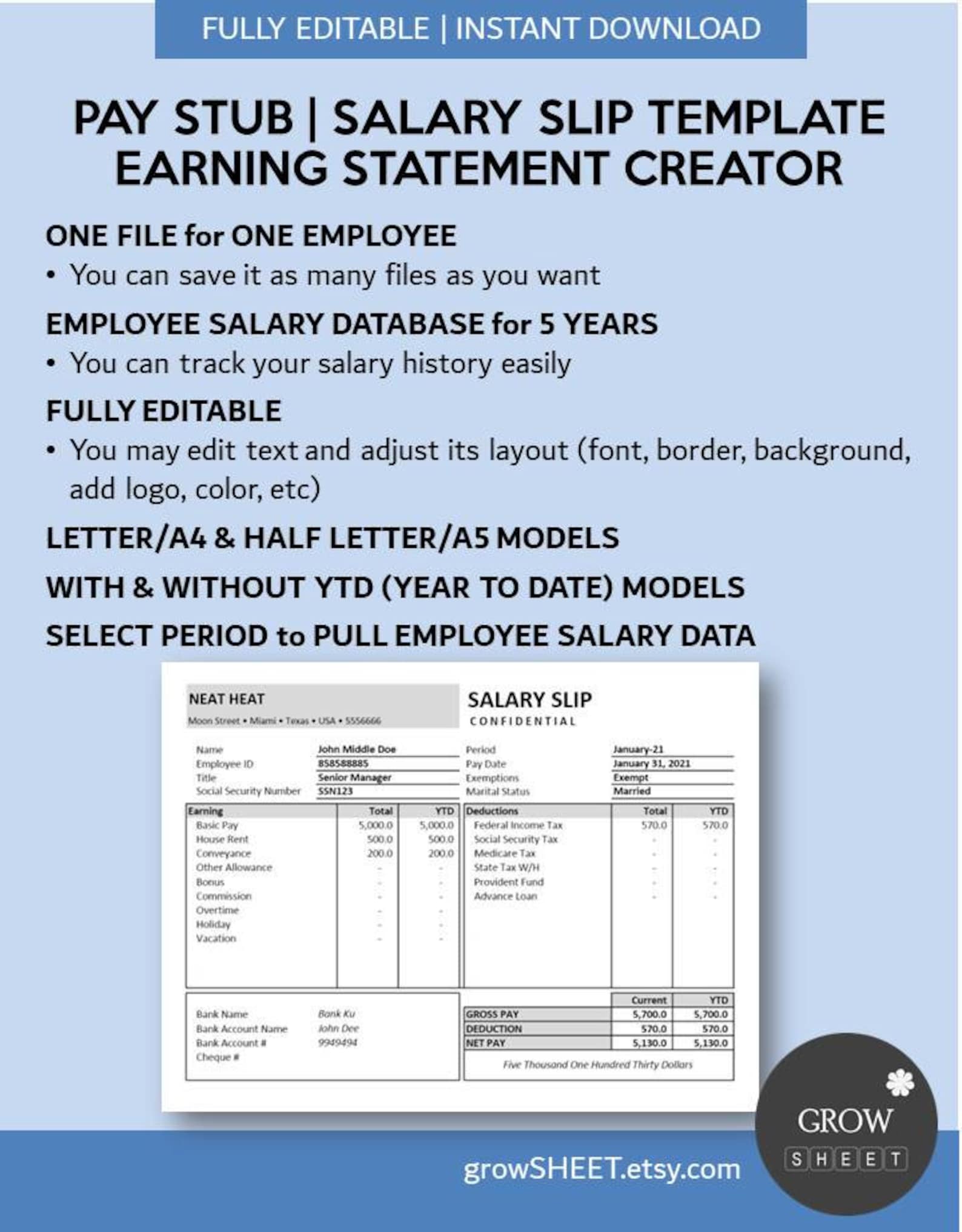 Earning Statement Generator | Salary Pay Slip Template for Salaried ...