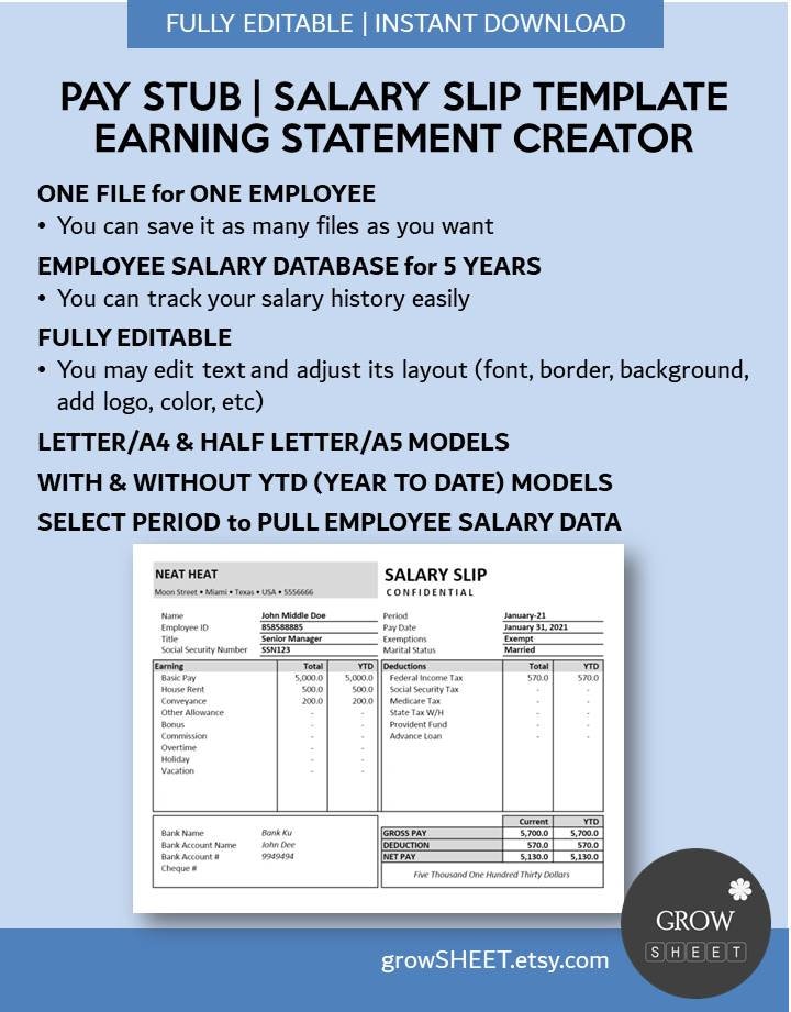 Earning Statement Generator | Salary Pay Slip Template for Salaried ...