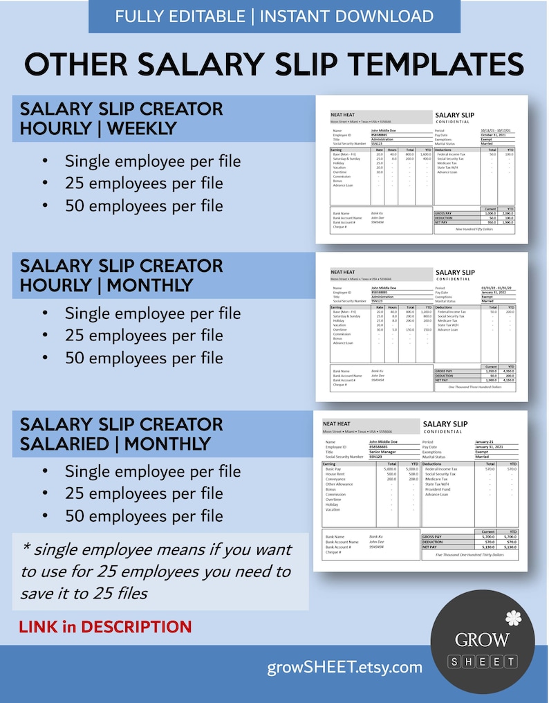 Salary Slip Generator Earning Statement Template Pay Slip - Etsy