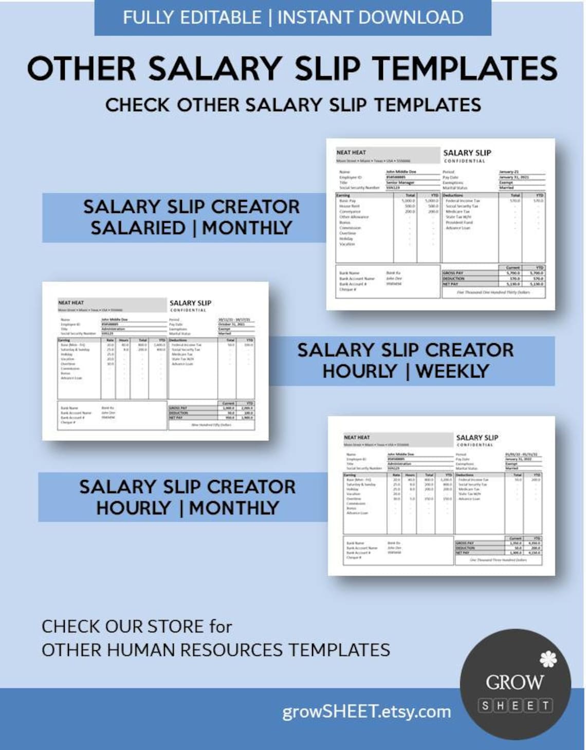 Earning Statement Generator | Salary Pay Slip Template for Salaried ...