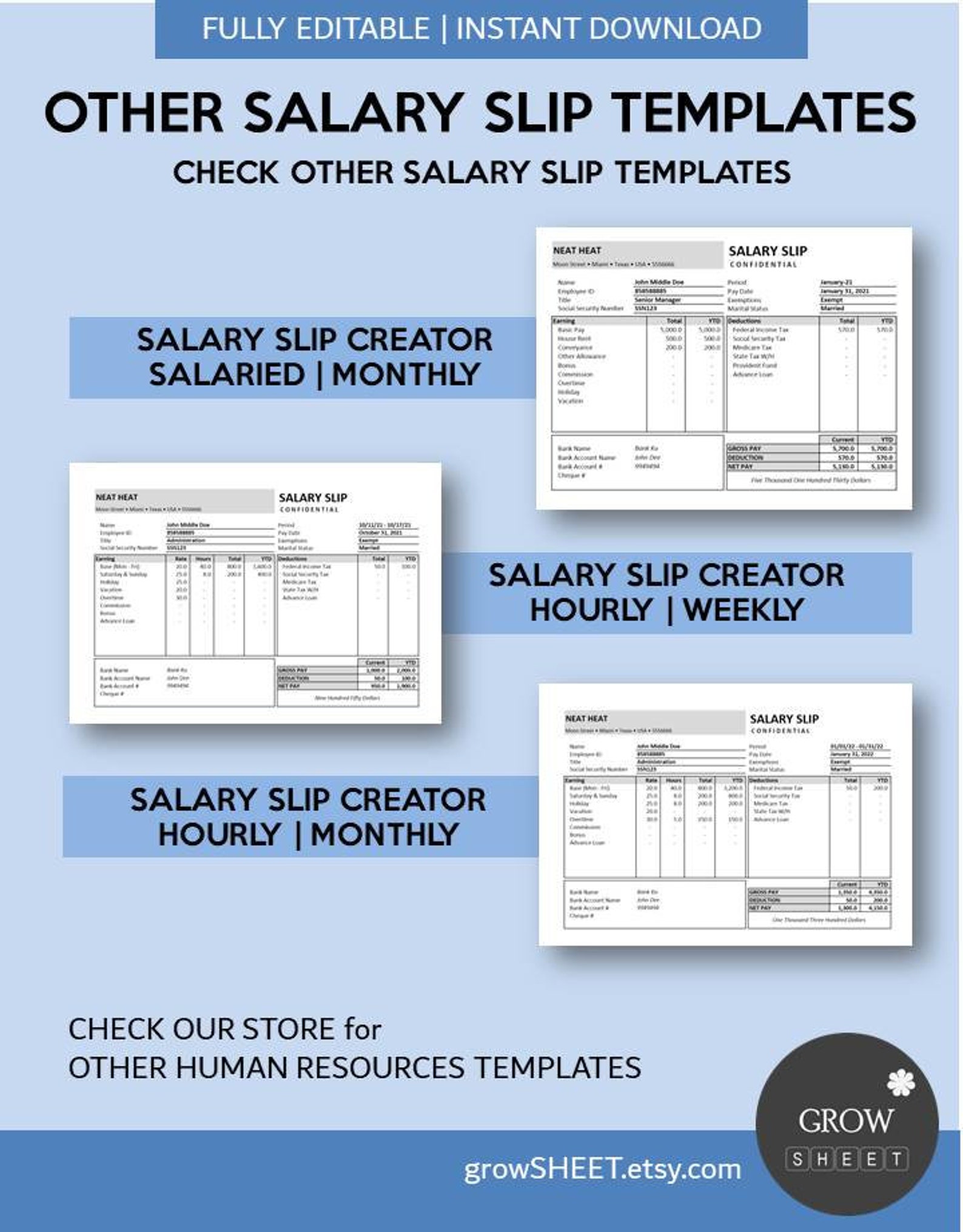 Earning Statement Generator | Salary Pay Slip Template for Salaried ...