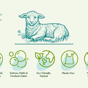 Dog Face Wool Dryer Balls Set: 6 Pcs XL Reusable Felt Dryer Balls, 100% ...