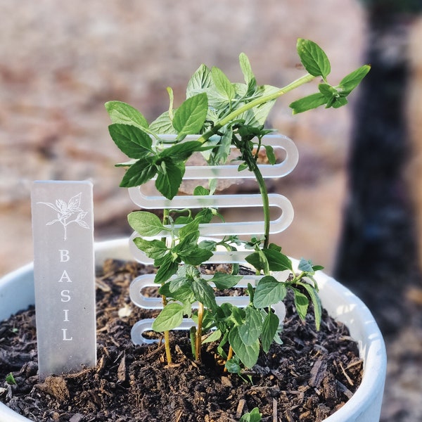 Fake Stake - Etsy Australia