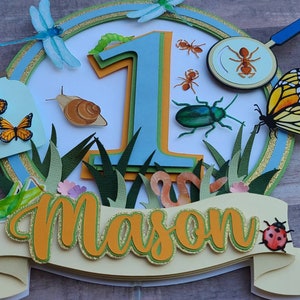 Bugging Out Birthday Theme Cake Topper / Rustic Bug Birthday Party ...