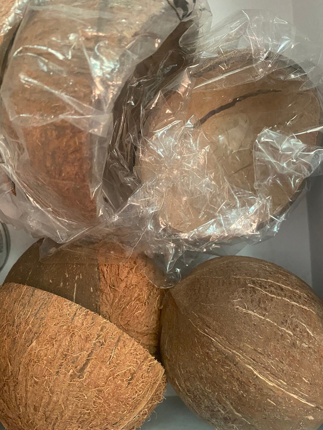 Coconut Half Shells, Craft Supplies, Art, Makers, Natural - Etsy