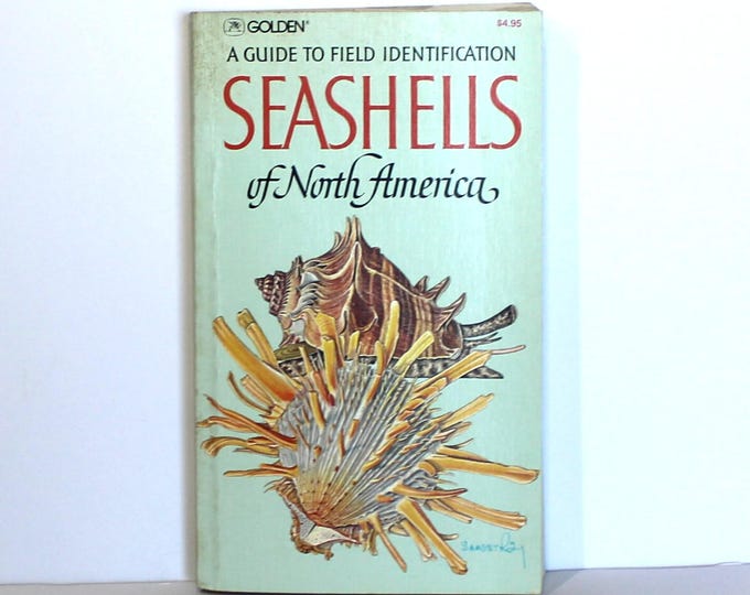 A Golden Field Guide Seashells of North America 1968 Vintage ~ Nice! - Etsy