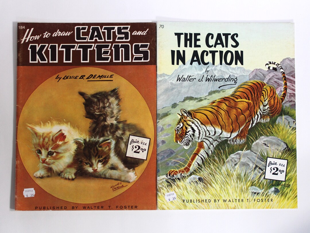How to Draw Cats and Kittens & the Cats in Action Walter T. - Etsy