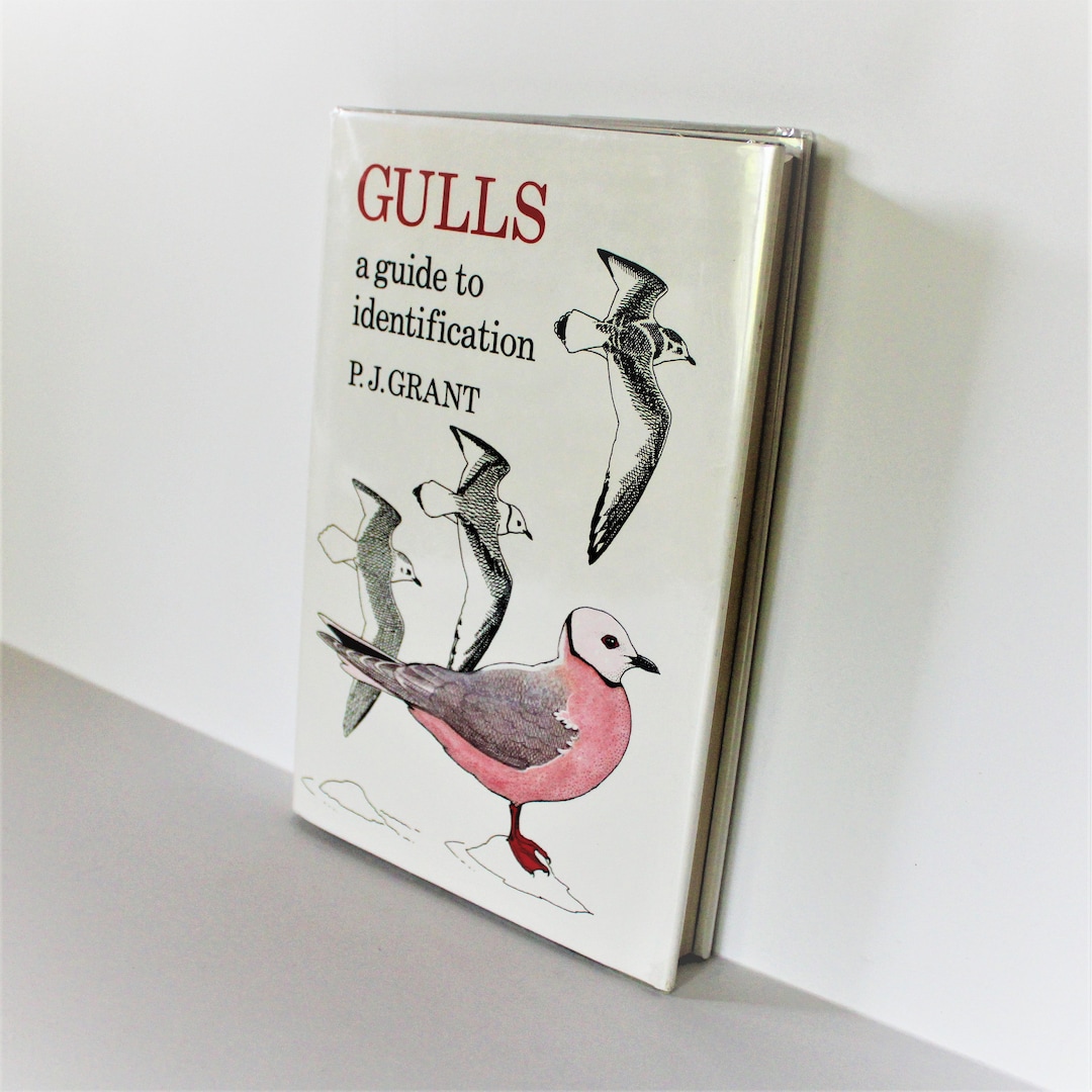 GULLS A Guide to Identification. P.g.grant. Poyser. - Etsy