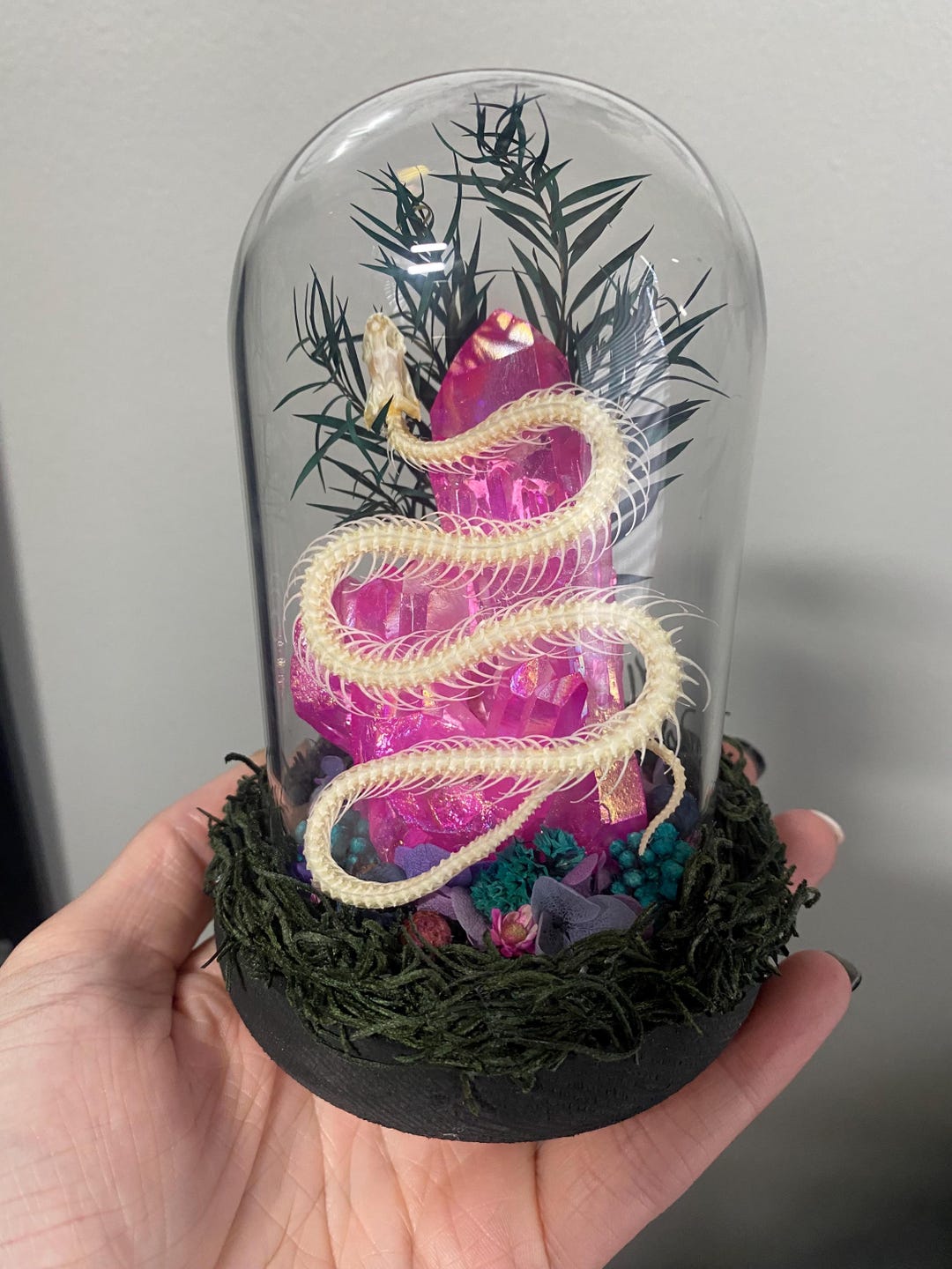 Snake Skeleton in a Glass Dome, Pink Aura Quartz Crystal Mixed With ...