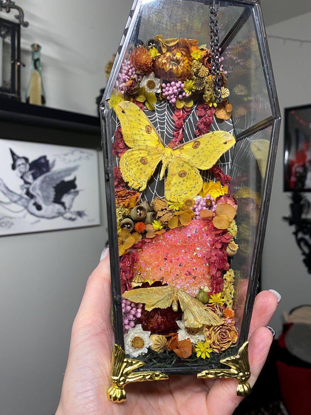 Large Yellow Saturn Moth, Smaller Yellow Moth and a Lady Bug Inside a ...