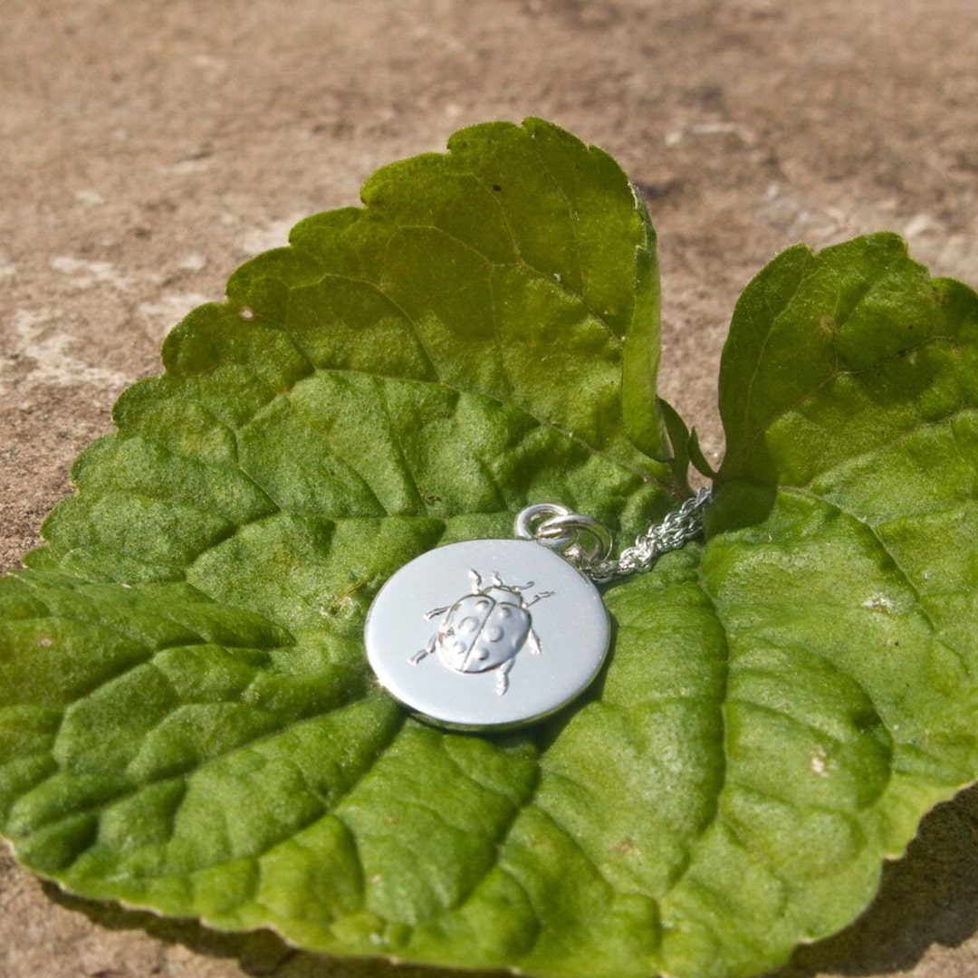 Ladybird Necklace, Good Luck Charm Necklace, Personalise Good Luck Gift ...