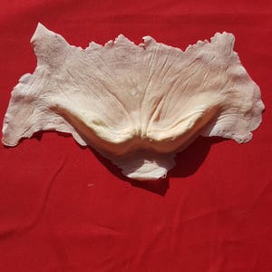 Vampire Forehead Prosthetic - Etsy