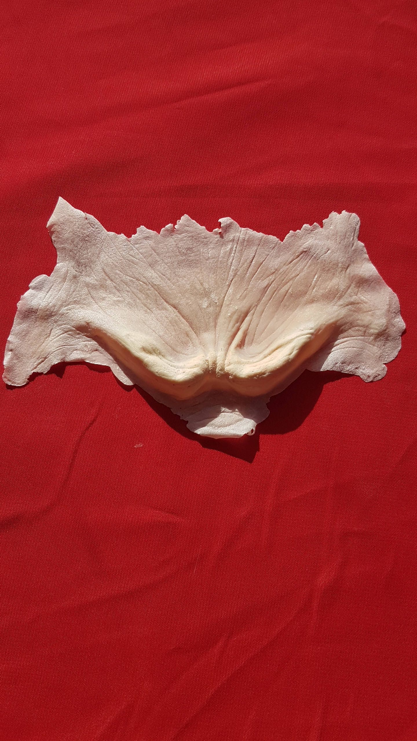 Vampire Forehead Prosthetic - Etsy