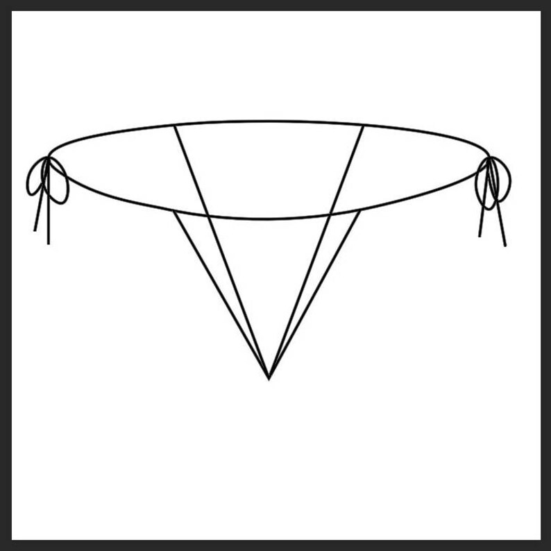 White Sheer See Through Micro Bikini Top W White Trim Etsy