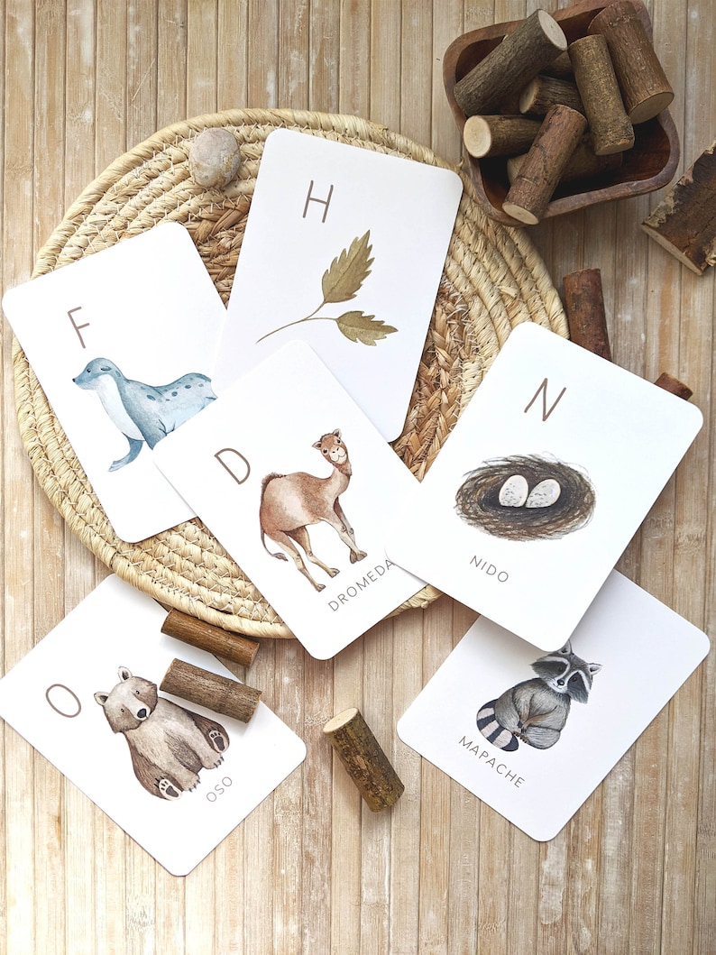 Alphabet Set With Animals From the Forest A to Z Spanish - Etsy