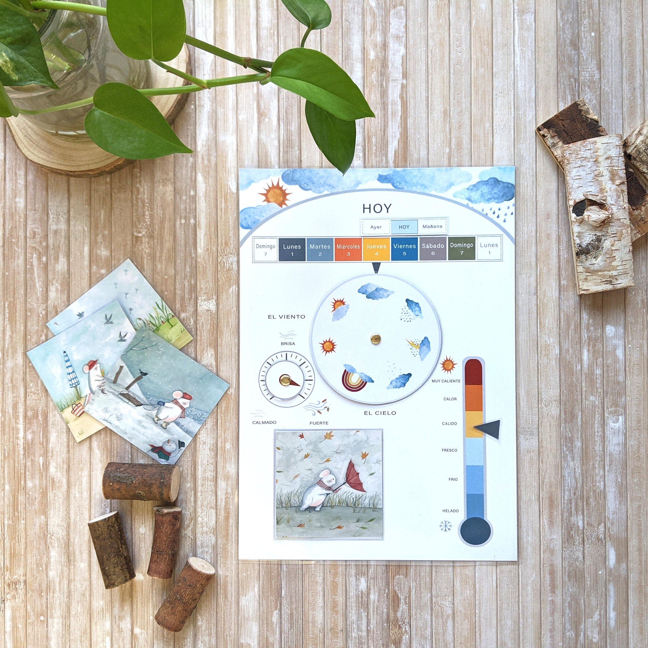 Weather Station: Daily Morning Board, the Weather, Educational Poster ...