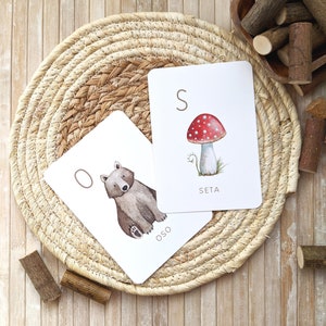 Alphabet Set With Animals From the Forest A to Z, Spanish Alphabet ...