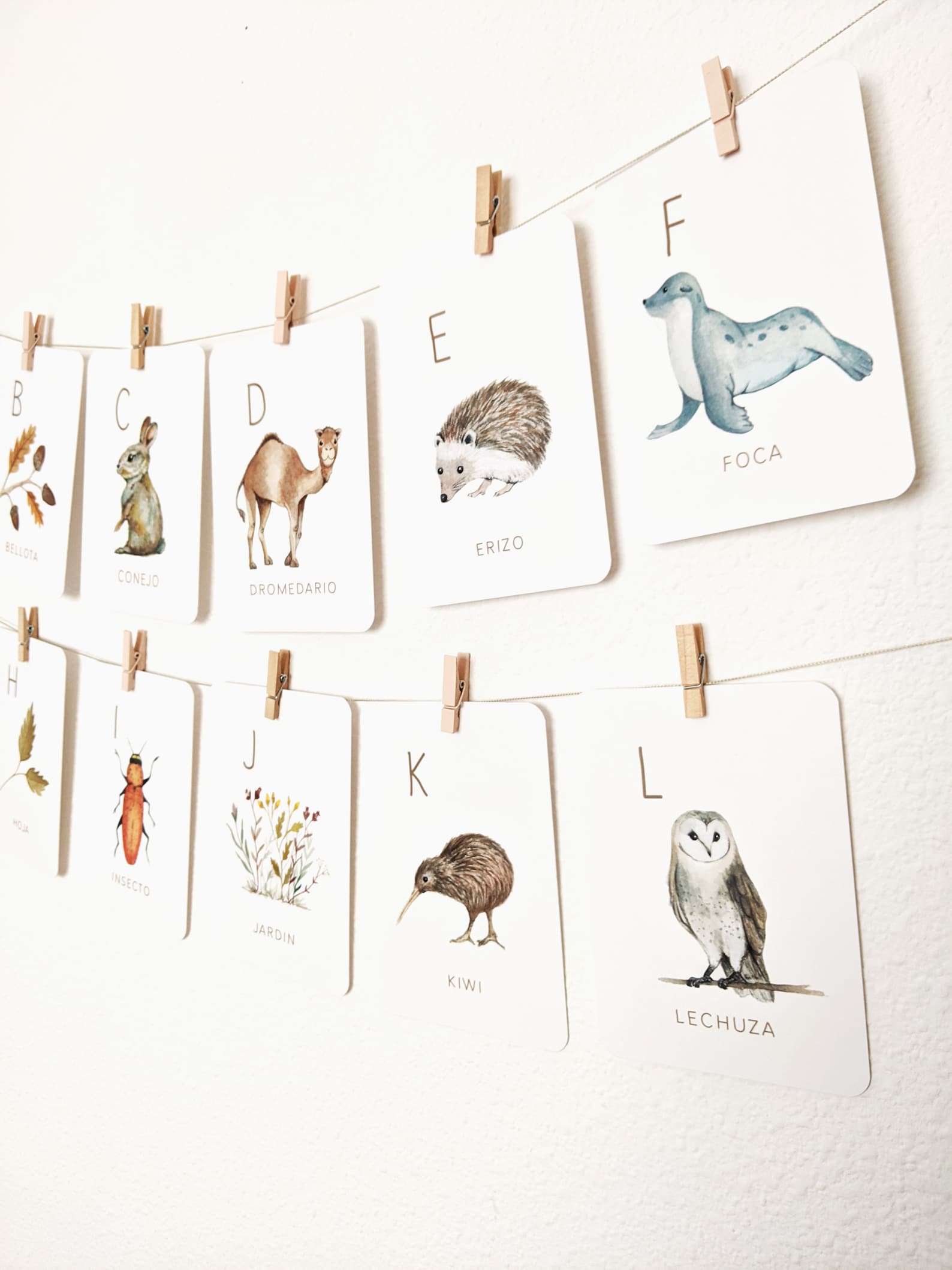 Alphabet Set With Animals From the Forest A to Z Spanish - Etsy
