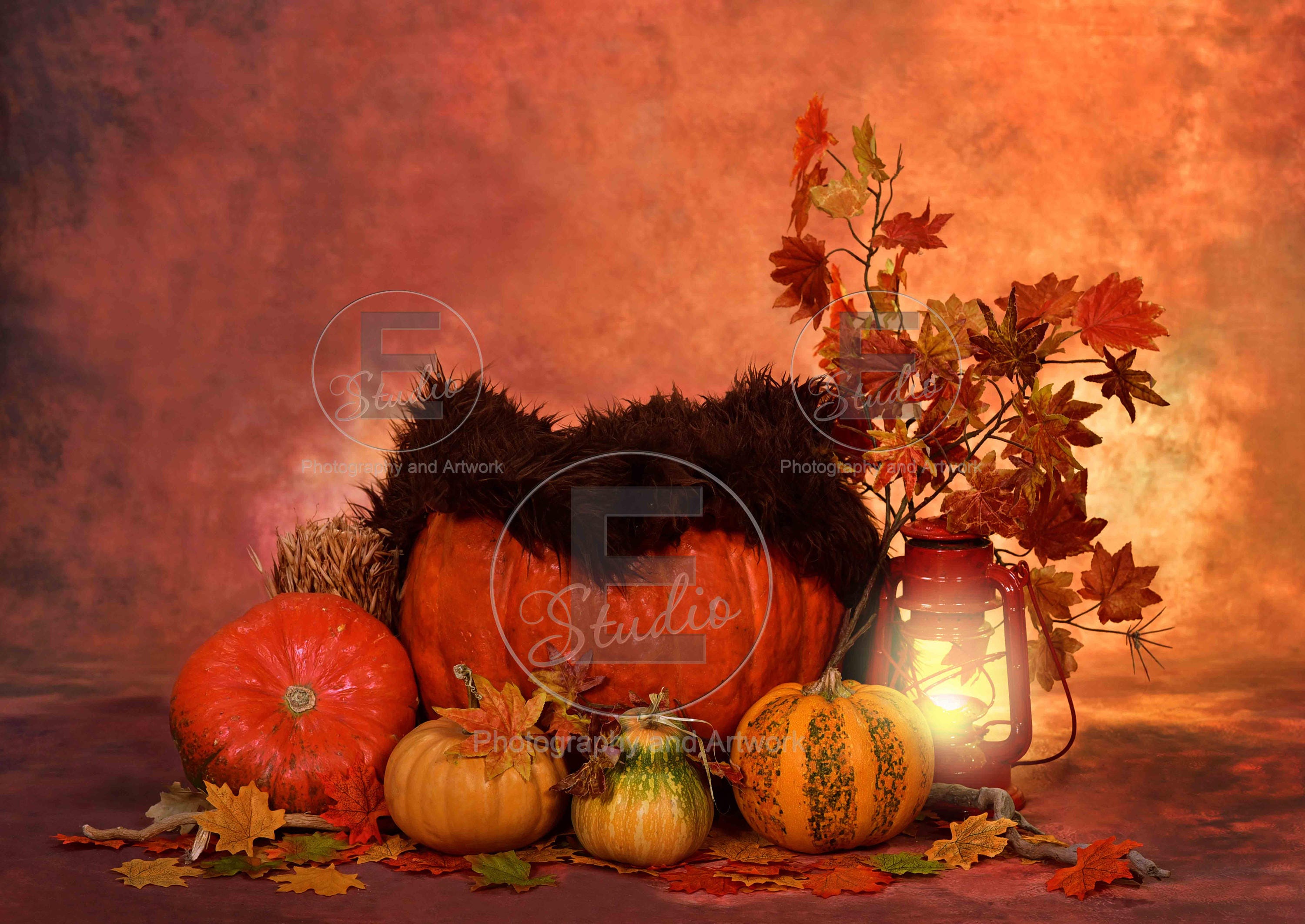Autumn Digital Backdrops, Newborn Digital Prop, 2 Photography ...