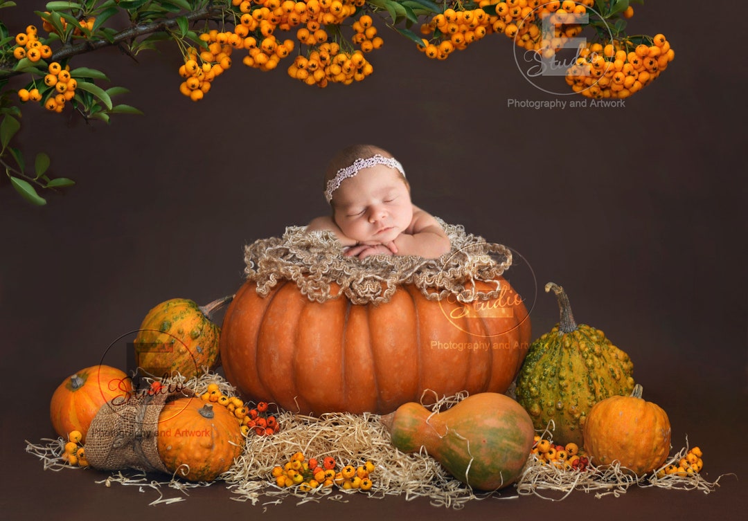 Autumn Digital Backdrop, Baby in Pumpkin Background, Digital Baby Props ...