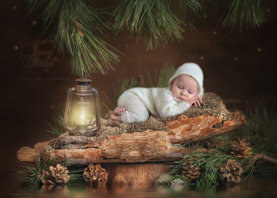 2xnewborn Forest Backdrops Wood Digital Background Natural - Etsy