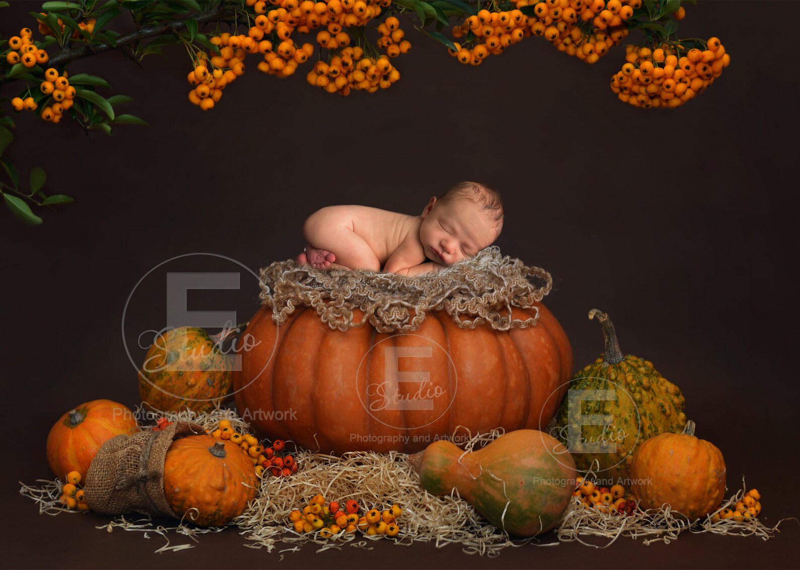 Autumn Digital Backdrop Baby in Pumpkin Background Digital - Etsy