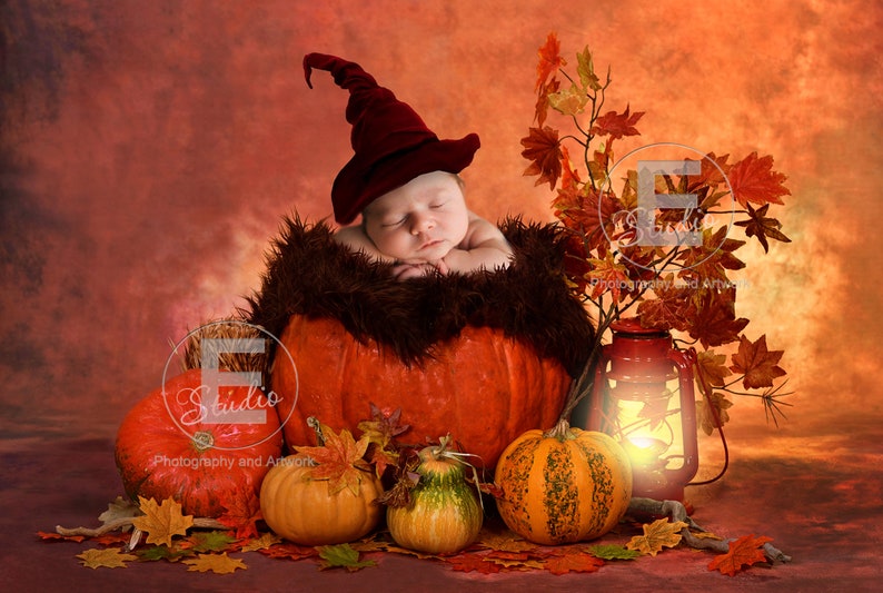 Autumn Digital Backdrops, Newborn Digital Prop, 2 Photography ...