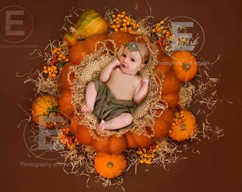 Digital Background Backdrop Newborn Baby Sitter Toddler Pumpkin Fall ...