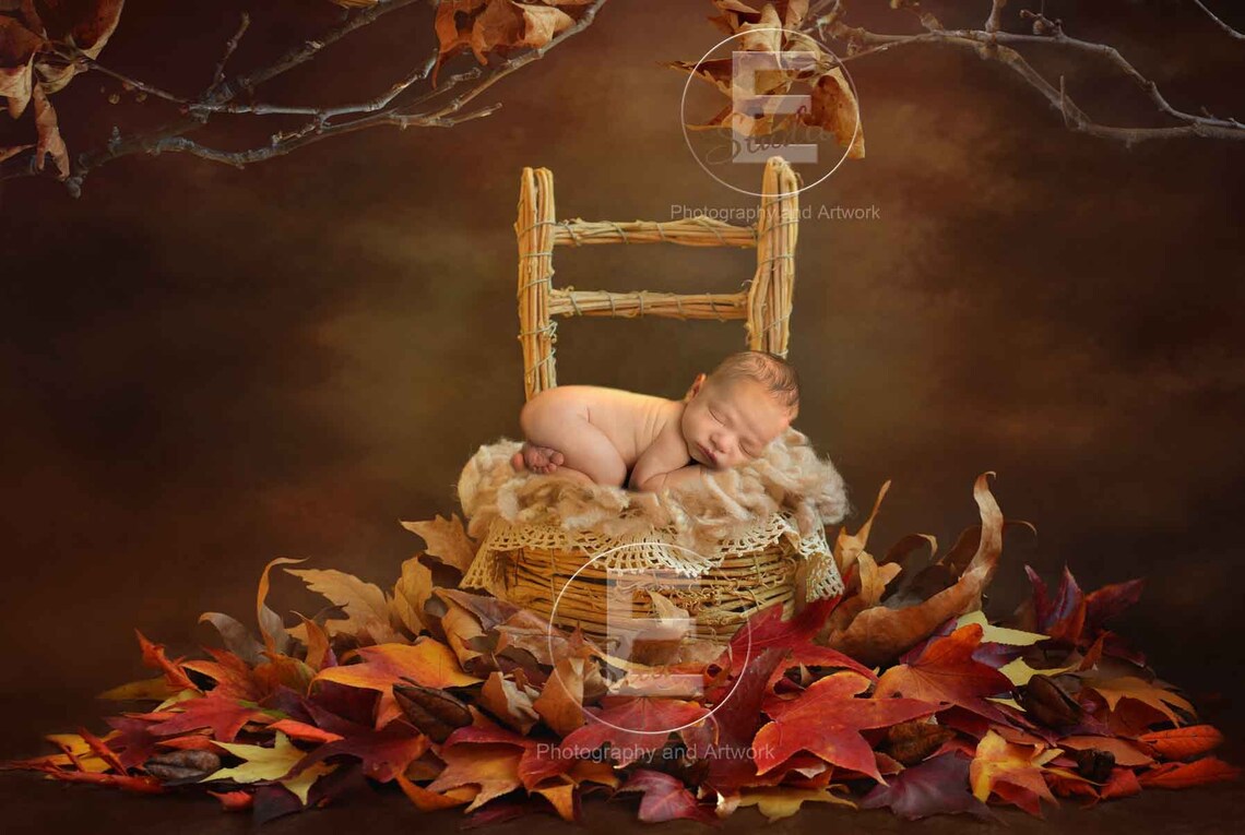 Fall Digital Backdrop, Autumn Photo Props, Newborn Chair Overlay ...