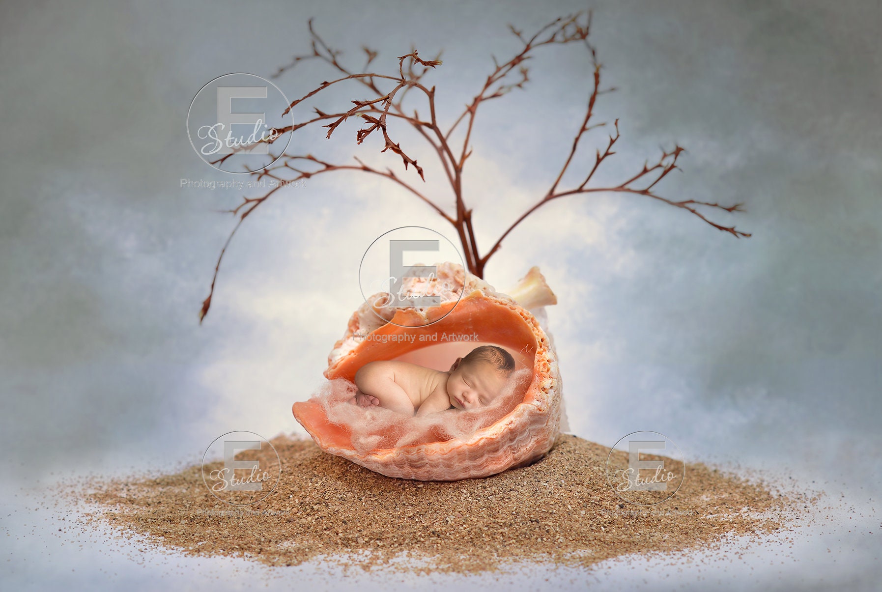Summer Digital Backdrop, Seashell Newborn Background, Beach Toddler ...