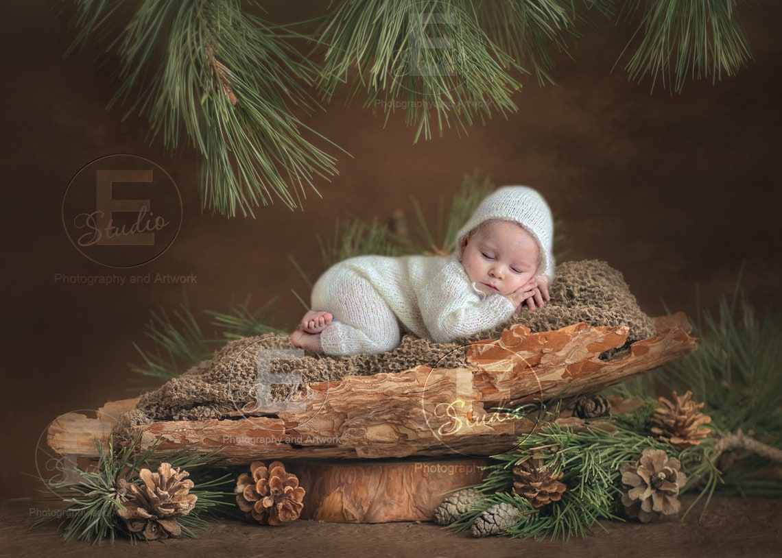 2xnewborn Forest Backdrops, Wood Digital Background, Natural Toddler ...