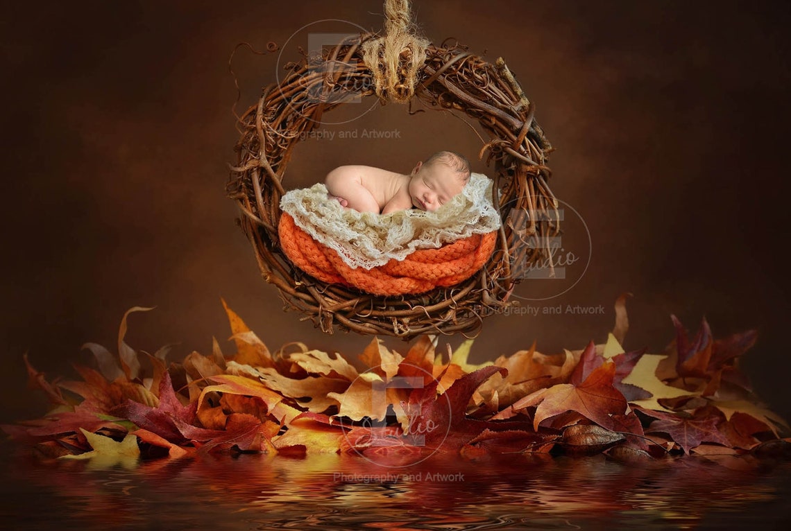 Fall Digital Background, Autumn Photo Overlay, Rustic Baby Backdrop ...
