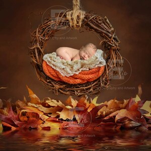 Fall Digital Background, Autumn Photo Overlay, Rustic Baby Backdrop ...
