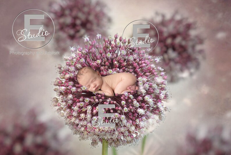 Natural Newborn Background, Download Baby Sitter, Flower Toddler ...