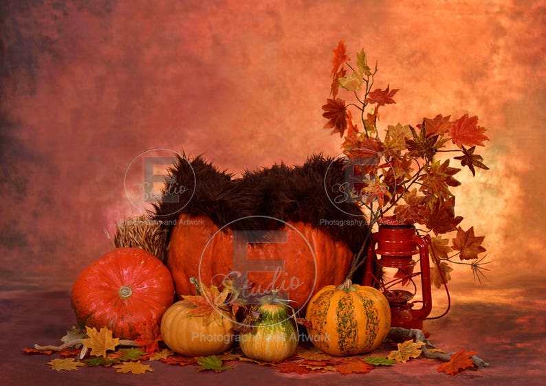 Autumn Digital Backdrops, Newborn Digital Prop, 2 Photography ...