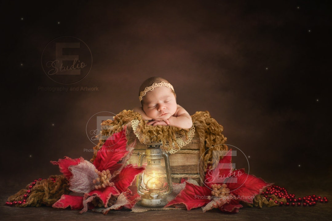 2xnewborn Christmas Backdrops, Digital Baby Background, Magic Fairy ...