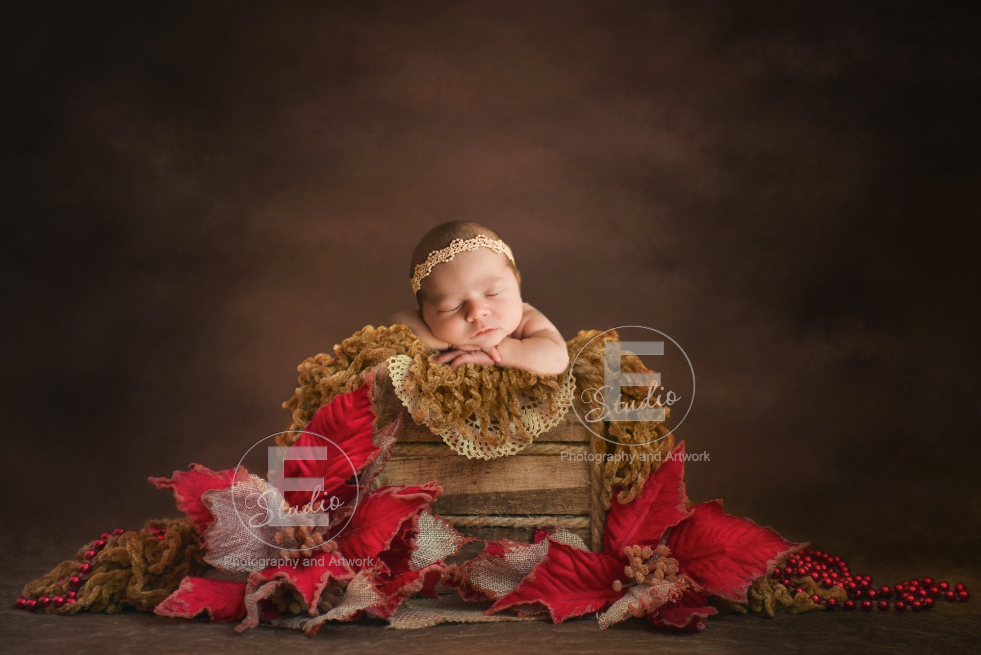 2xnewborn Christmas Backdrops, Digital Baby Background, Magic Fairy ...
