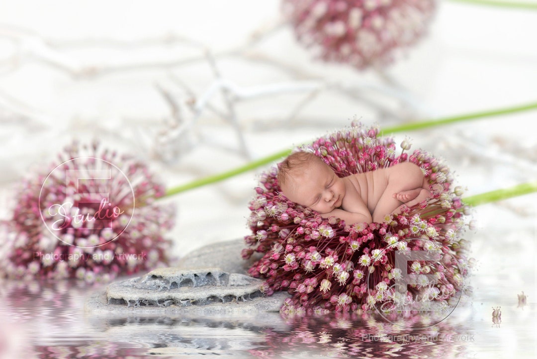 Newborn Digital Background, Drag and Drop Baby Template, Natural ...