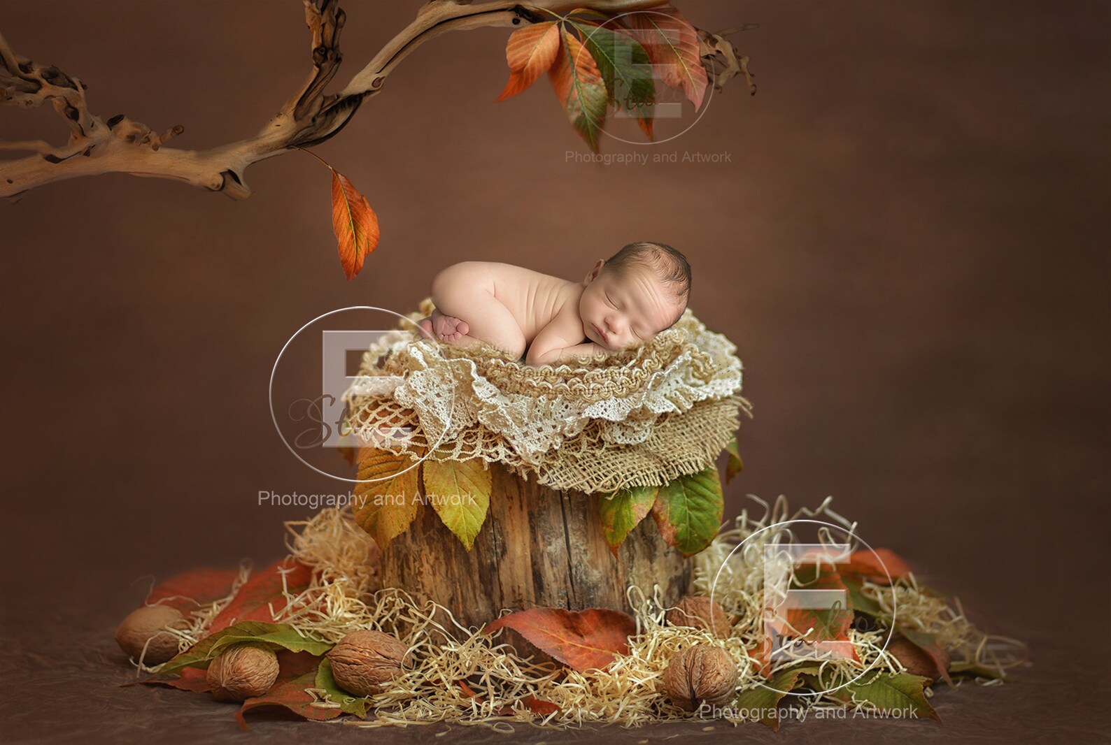 Autumn Digital Background, Fall Baby Backdrop, Harvest Sitter Template ...