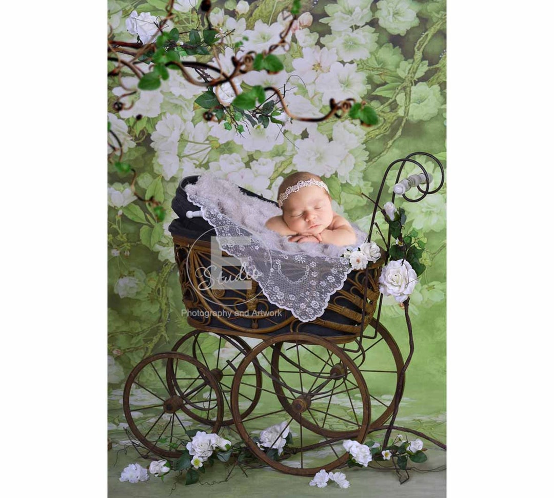 Newborn Spring Backdrop Digital Baby Background Digital - Etsy