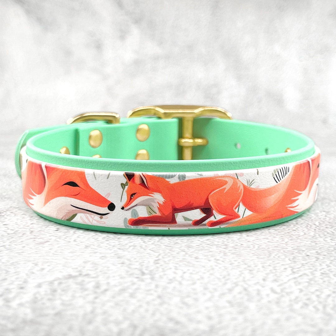 Fox Dog Collar – Mint Biothane With Solid Brass – Woodland Animal ...