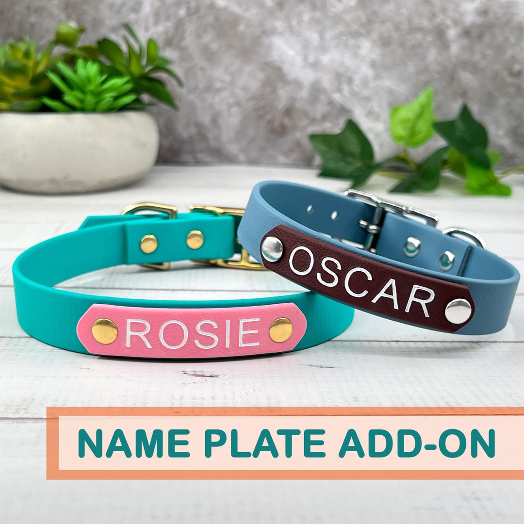 Biothane Dog Collar Name Plate Add-on: Personalized Waterproof Tag - Etsy
